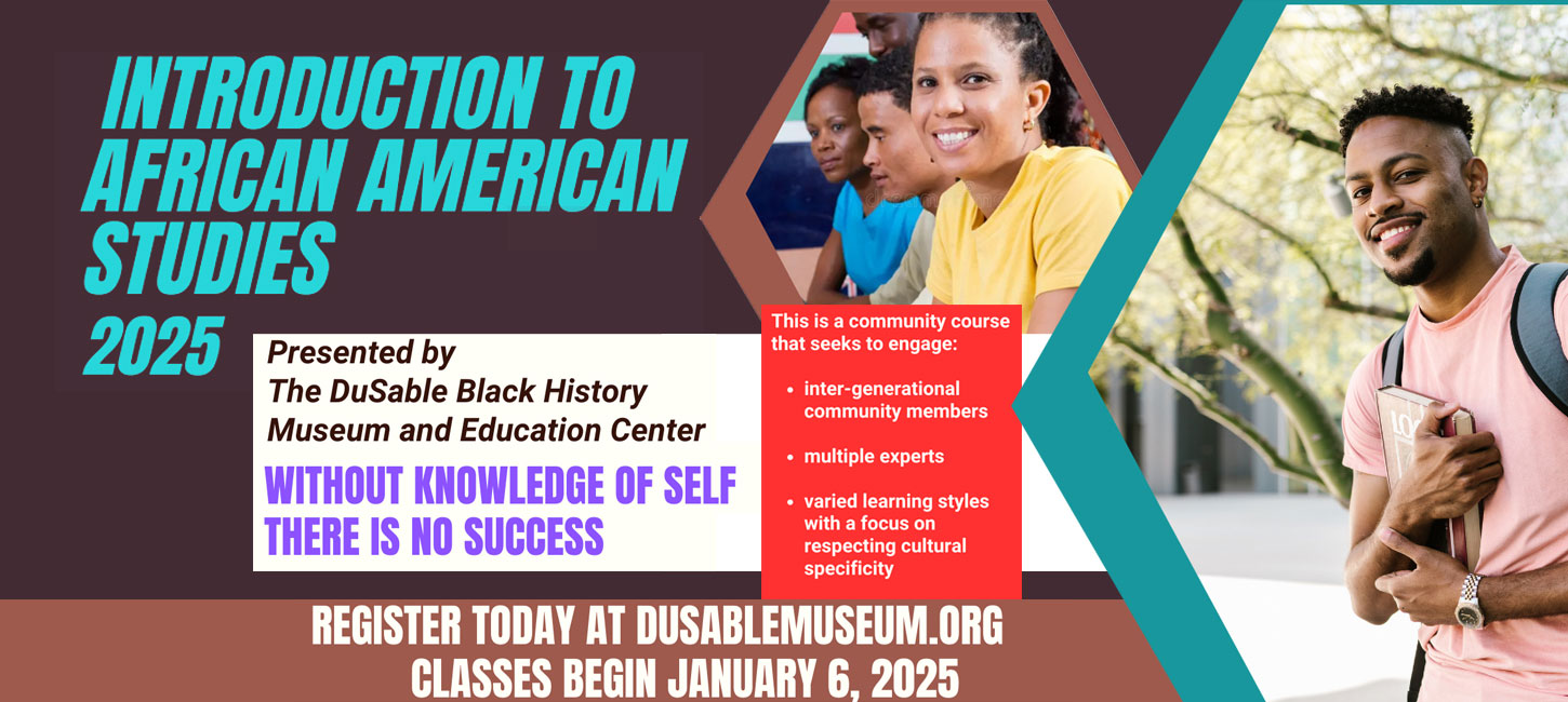 african-american-studies | DuSable Black History Museum and Education ...